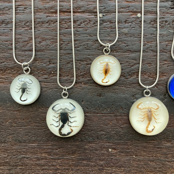 Hand Crafted | Jewelry | Real Scorpion Resin Necklace Pendant Goth ...